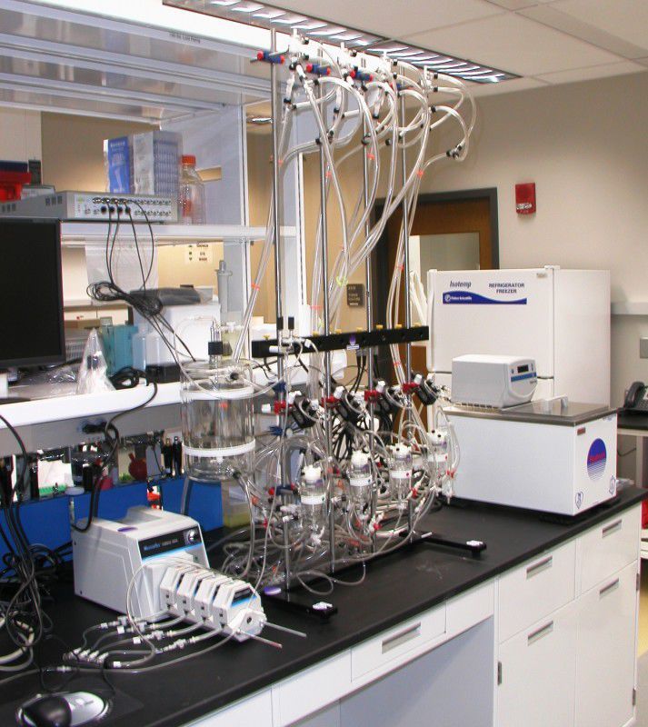 Animal research organ perfusion system - Radnoti - isolated / tubular