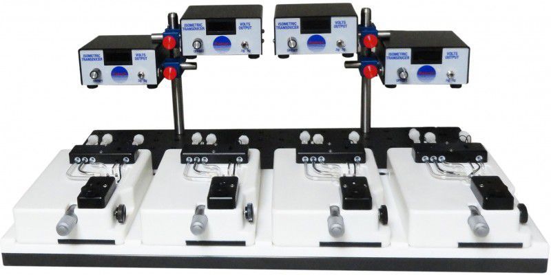 Wire myograph - Radnoti - for preclinical research