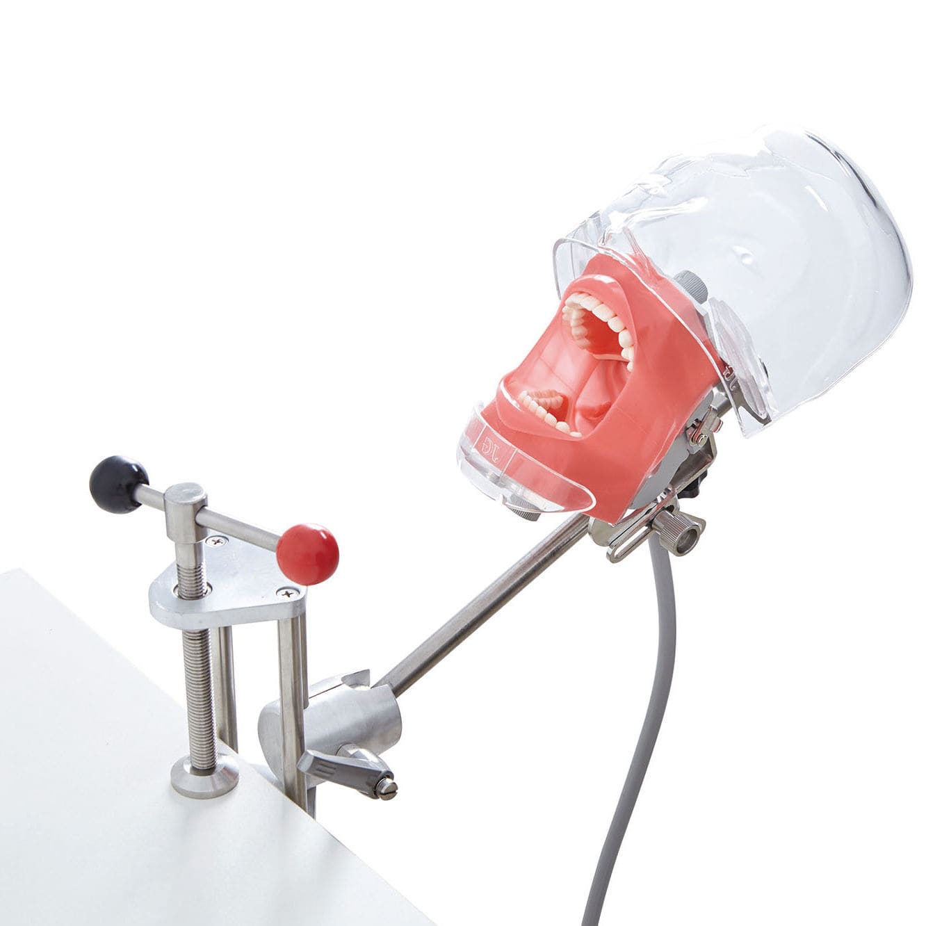 Dental training manikin - JG-C6-1 - FOSHAN JINGLE MEDICAL EQUIPMENT CO ...