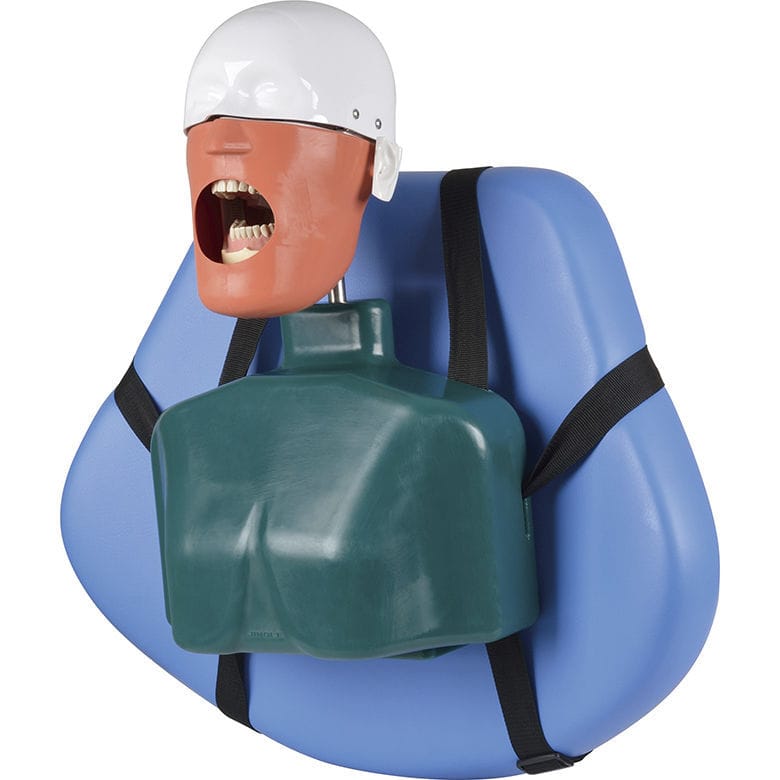 Dental training manikin - JG-C4 - FOSHAN JINGLE MEDICAL EQUIPMENT CO ...