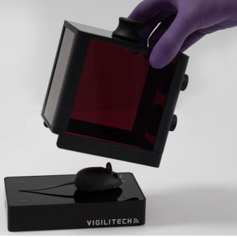 Anesthesia induction chamber - MARTA - Rothacher Medical - for animal ...