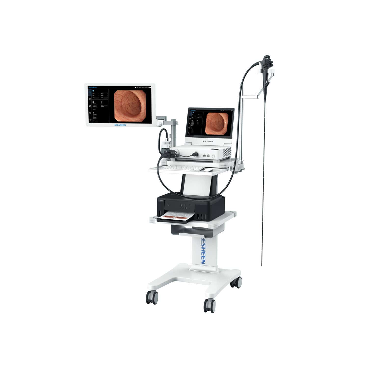 High-definition video gastroscope - EG-GP13 - Zhuhai Seesheen Medical ...