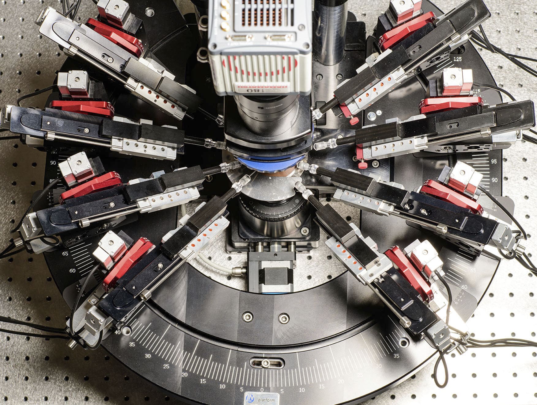 Three-axis micromanipulator - LN Junior - Luigs & Neumann - stereotactic