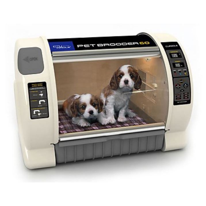 Veterinary incubator - MX-B60N - Autoelex