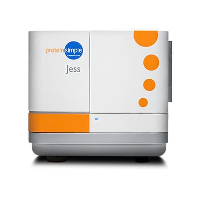 Automated Western blot analyzer - Jess - ProteinSimple