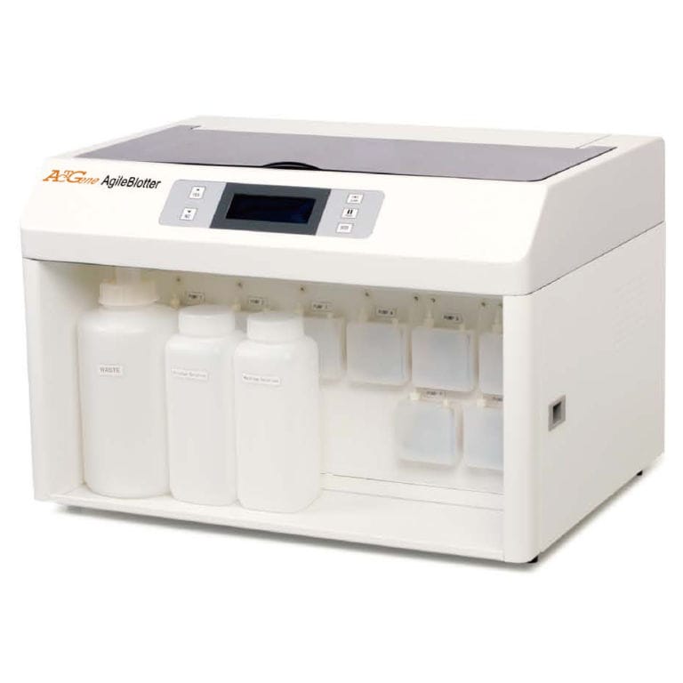 Automated Western blot analyzer - AgileBlotter™ - ACTGene, Inc.