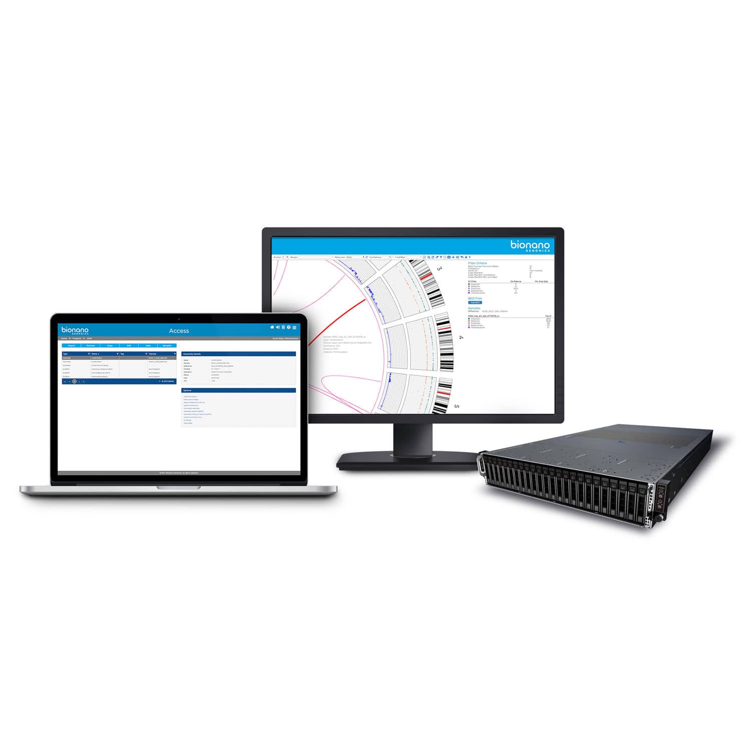 Data Management And Analysis System Bionano Genomics For Genetics