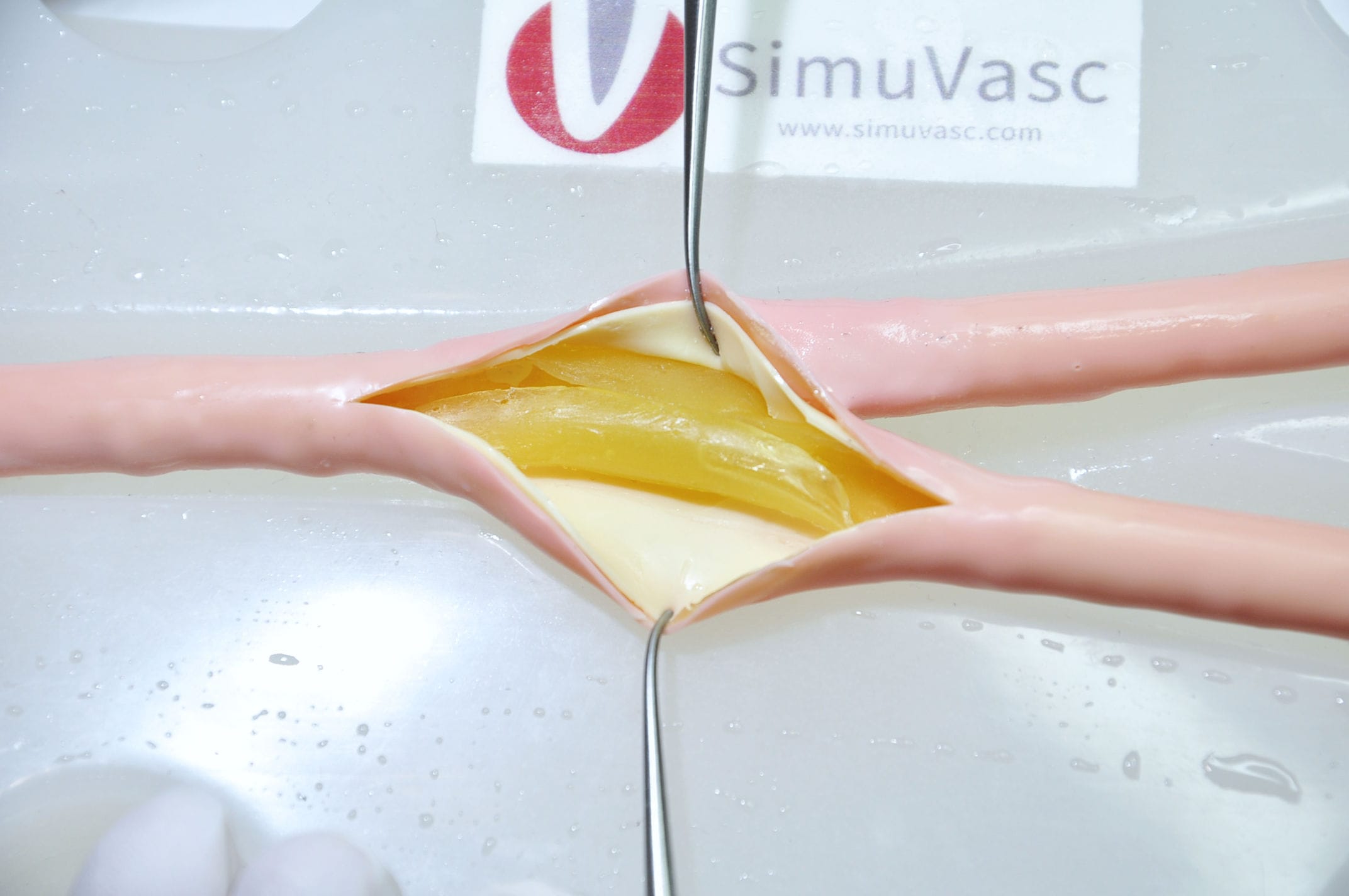 Training simulator - SimuVasc - vascular surgery