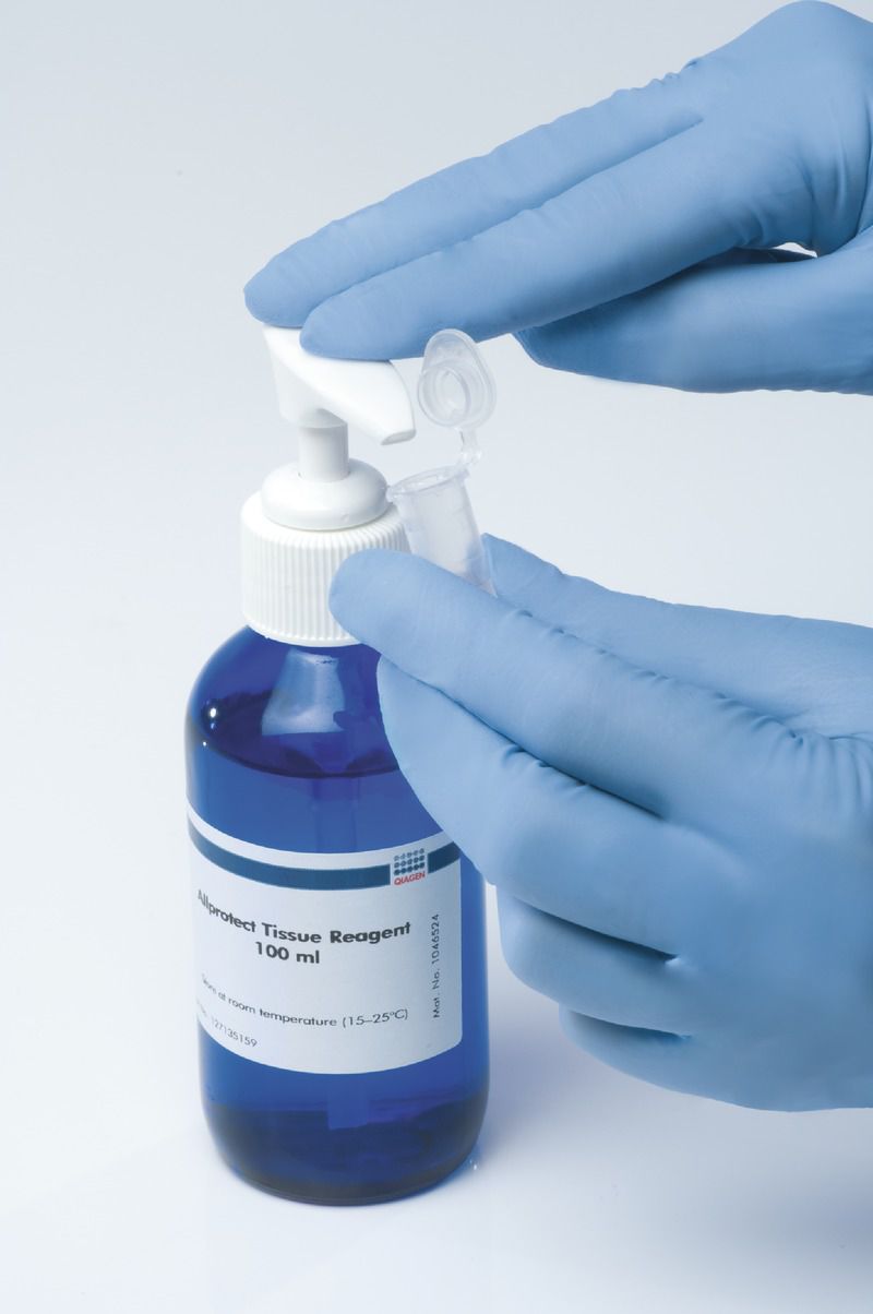 DNA stabilization reagent - Allprotect - QIAGEN - for RNA stabilization ...