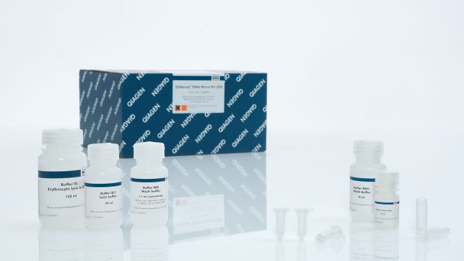 DNA extraction reagent kit - QIAamp - QIAGEN - for DNA purification ...