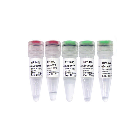 Reverse transcriptase reagent kit - ExcelRT™ - SMOBIO Technology, Inc ...