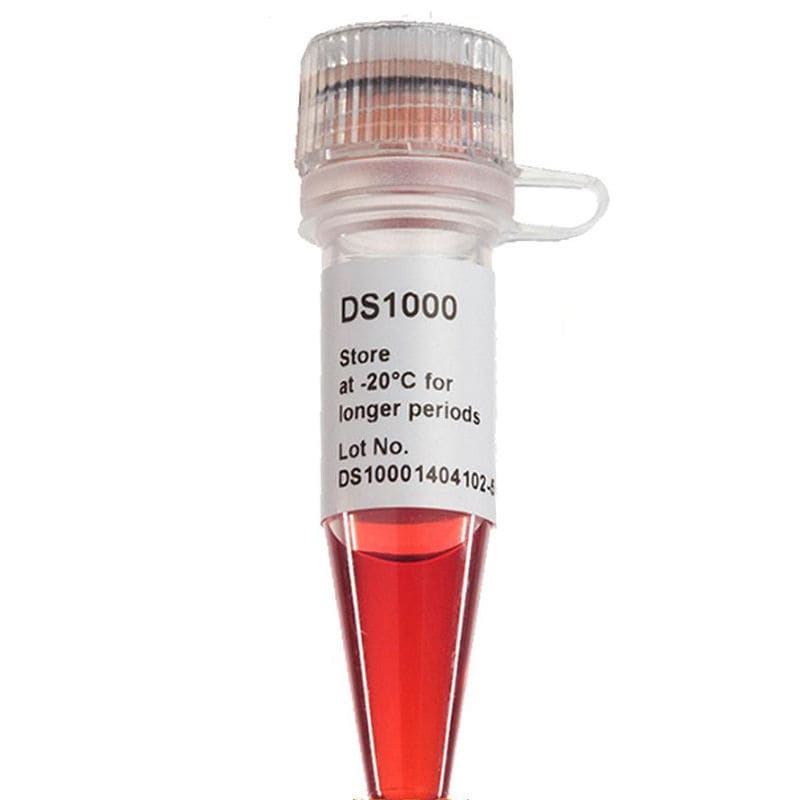 Dye reagent - FluoroStain™ - SMOBIO Technology, Inc. - for DNA extraction