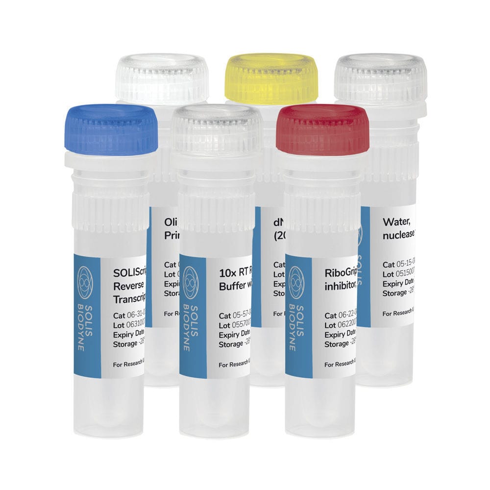 Solution reagent kit - SOLIScript® RT cDNA synthesis - Solis BioDyne ...