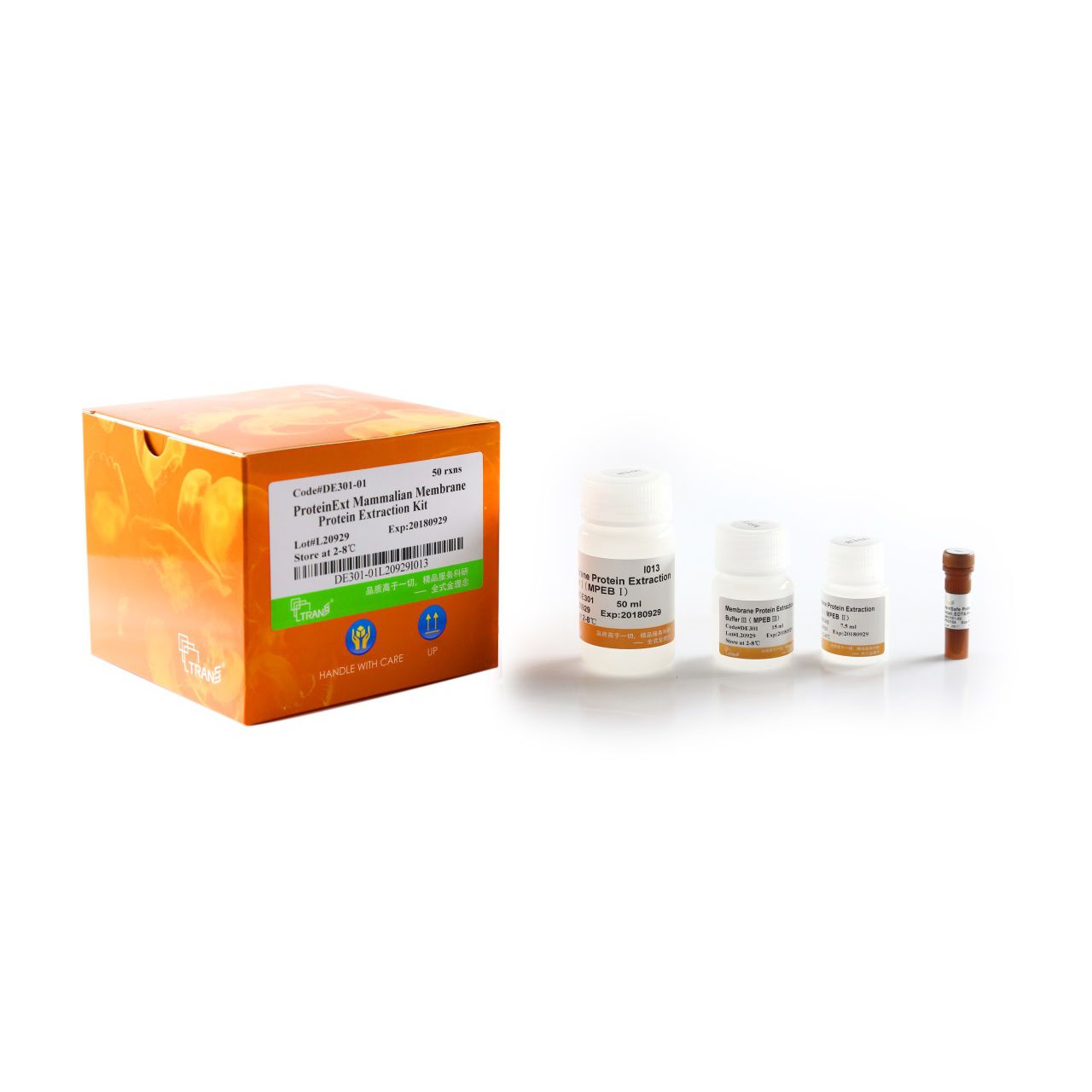 Protease reagent kit - ProteinExt® - TransGen Biotech Co. - for Western ...