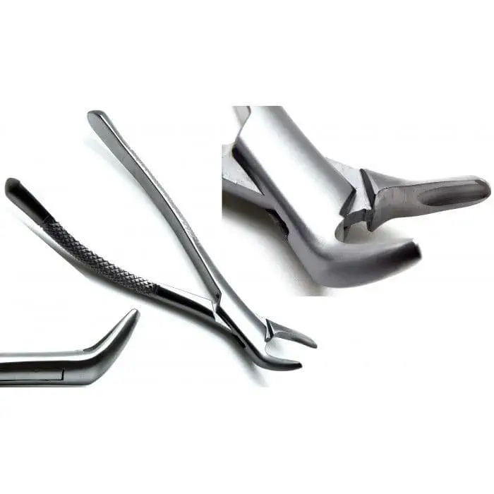 Dental Forceps How To Identify Forceps |Differences Between, 55% OFF