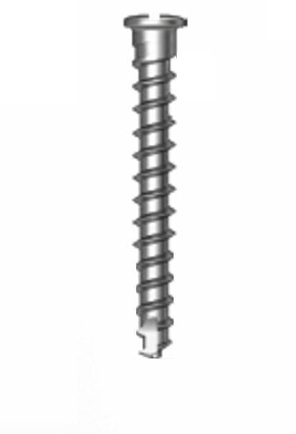 Titanium transfixation screw - Osstem Implant France - straight