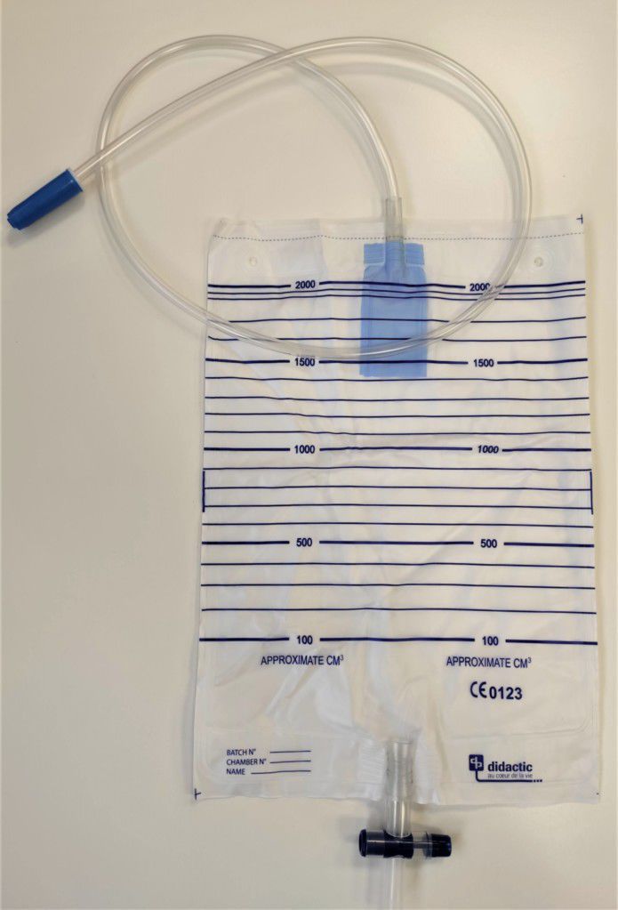 Urinary drainage set - COLVAX02 - DIDACTIC - graduated