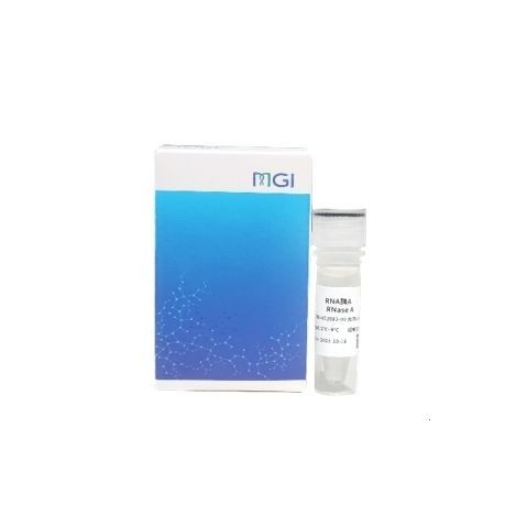 Enzyme reagent - 940-001646-00 - MGI Tech - nucleic acid / RNase ...