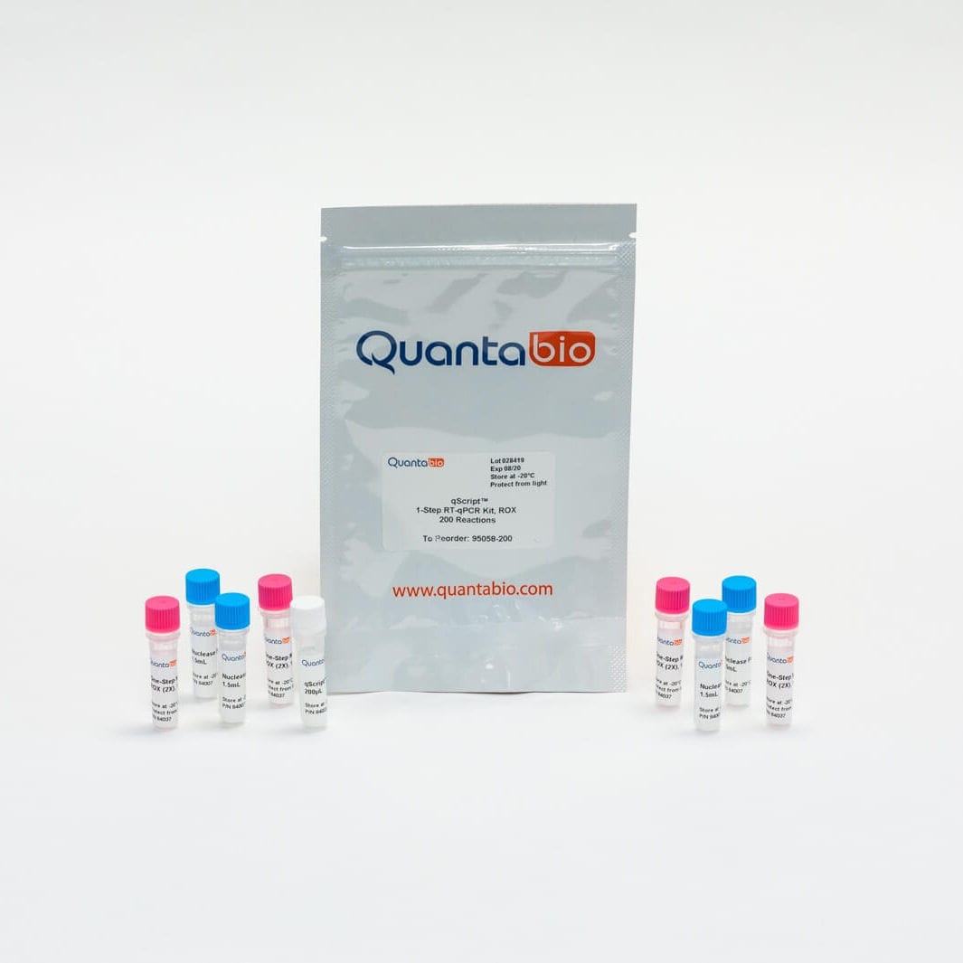 Solution reagent kit - qScript One-Step - QuantaBio - Taq DNA ...