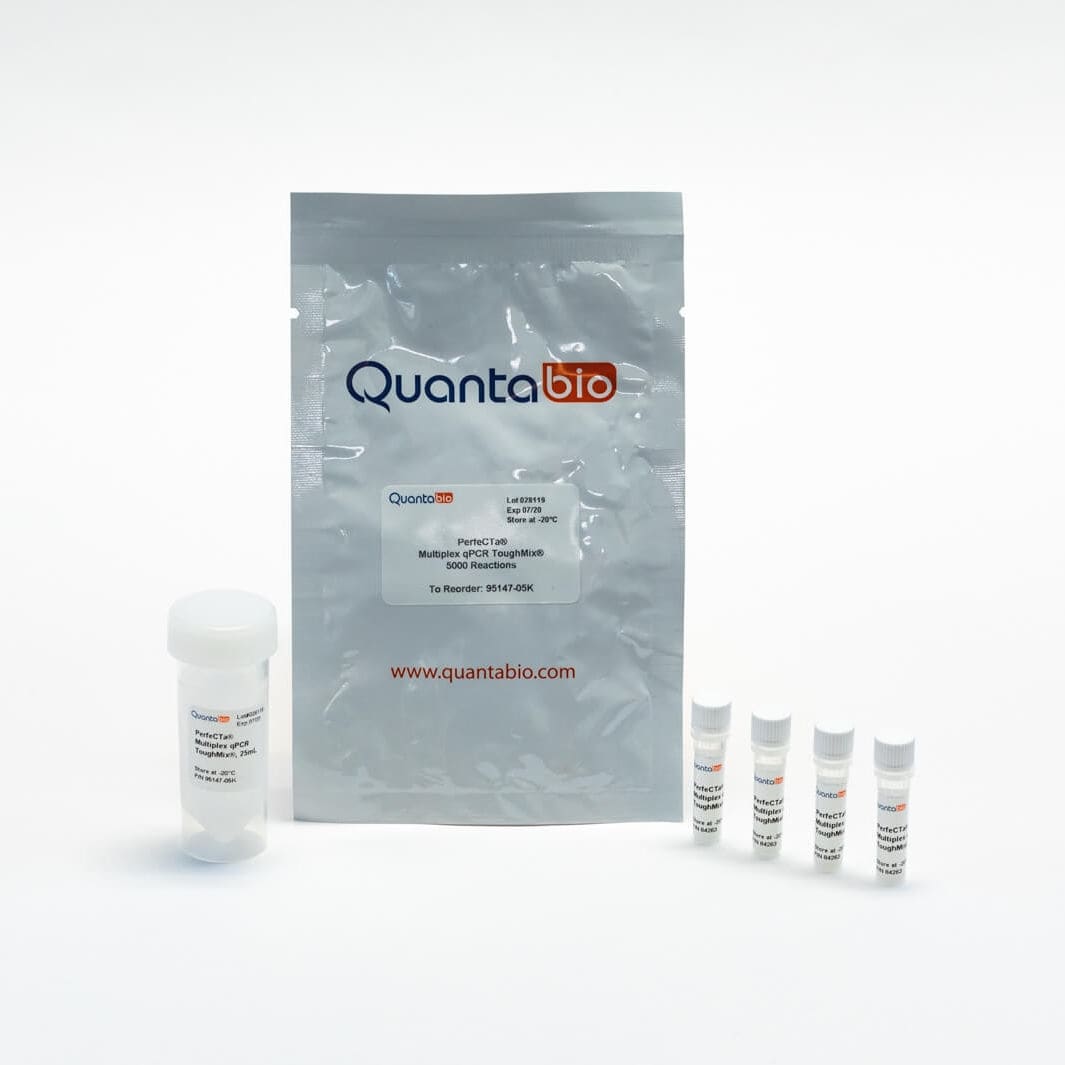 Enzyme reagent kit - PerfeCTa Multiplex ToughMix - QuantaBio - Taq DNA polymerase / buffer ...