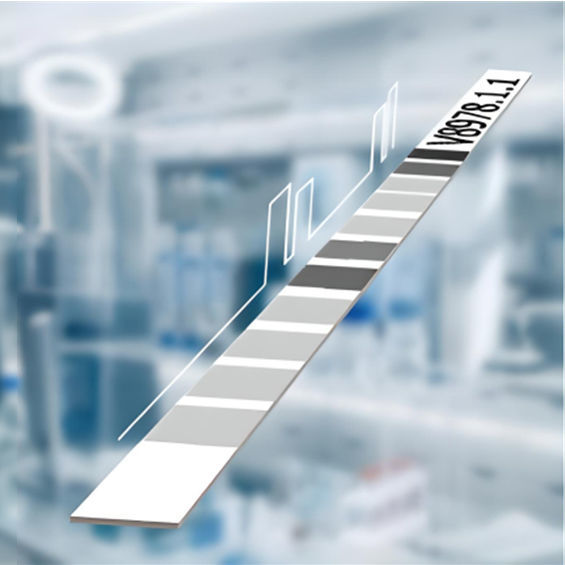 Autoimmune disease test kit - ANA 12 LINE - MEDIPAN GmbH - IgG / serum ...