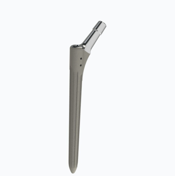 Revision femoral stem - R.7462-001 series - Zimed Medical - cementless