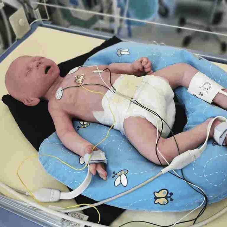 Respiratory distress syndrome simulator - LuSi - neosim AG - evaluation ...