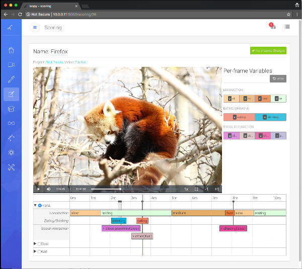 Analysis software - Loopy - loopbio gmbh - calibration / tracking / for behavioral research