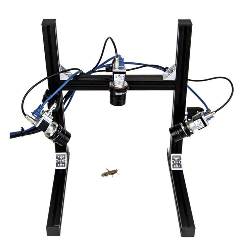 Behavioral research video recorder - Hexerei - loopbio gmbh - 3D