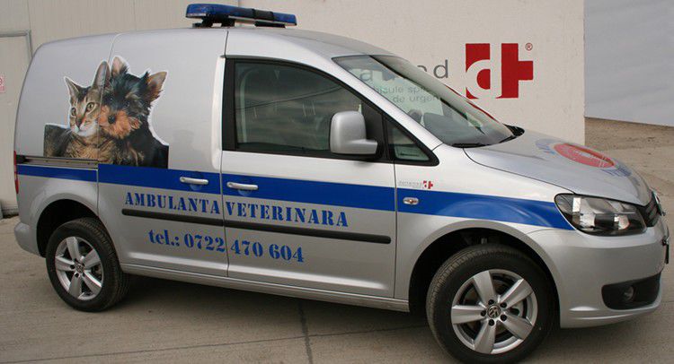 Veterinary ambulance - Volkswagen Caddy - DELTAMED SRL - van / 4x4
