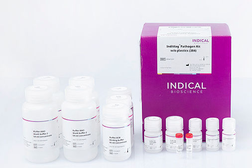 Magnetic bead-based reagent kit - IndiMag - INDICAL BIOSCIENCE - for ...