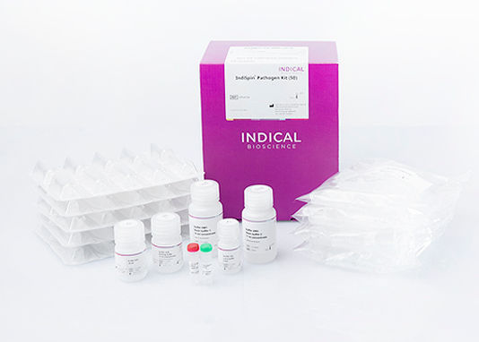 Animal test kit - IndiSpin - INDICAL BIOSCIENCE - genomic DNA / serum ...