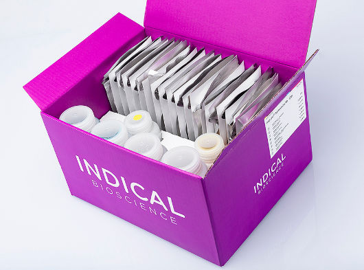 Salmonella test kit - pigtype - INDICAL BIOSCIENCE - for infectious ...