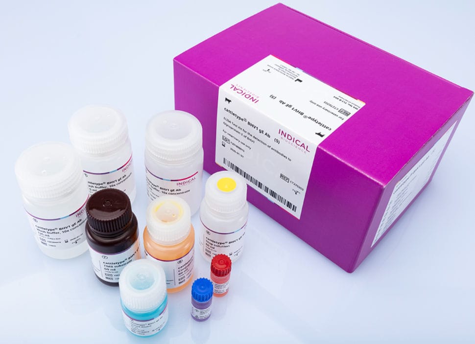 Respiratory disease test kit - cattletype - INDICAL BIOSCIENCE - for ...