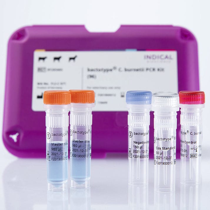 Solution reagent kit - BT285885 - INDICAL BIOSCIENCE - for DNA ...