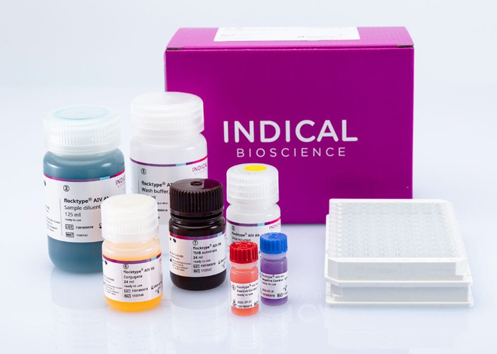 Infectious disease test kit - flocktype - INDICAL BIOSCIENCE - for ...