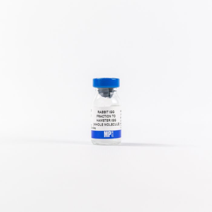 Protein reagent - 0855398 - MP Biomedicals - antibody / enzyme / for ...