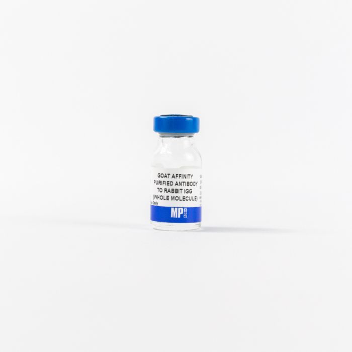 IgG reagent - 0855641 - MP Biomedicals - antibody / enzyme / for research
