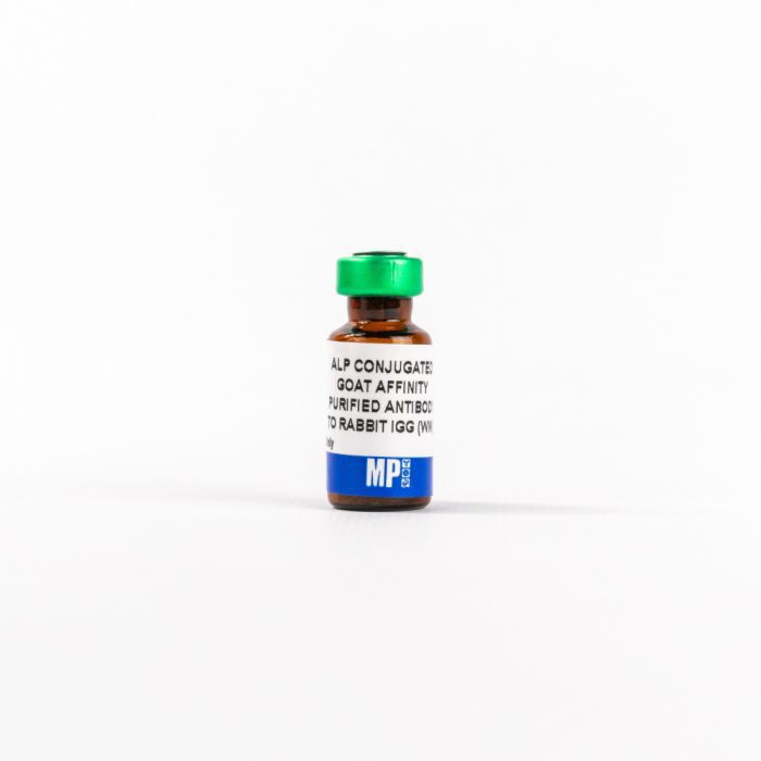 IgG reagent - 0859298 - MP Biomedicals - antibody / for research / tissue