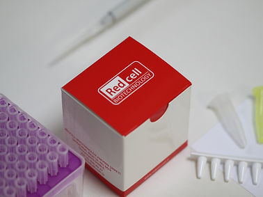 Solution reagent kit - Redcell Biotechnology - RT-qPCR / SARS-COV-2