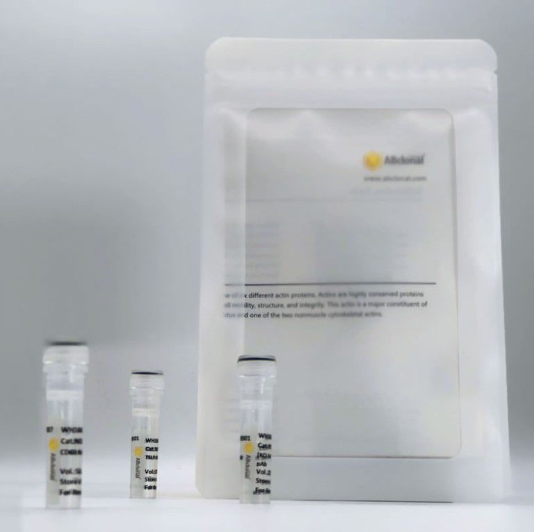ELISA reagent - RM17574 - ABclonal Technology - antibody / diagnostic ...