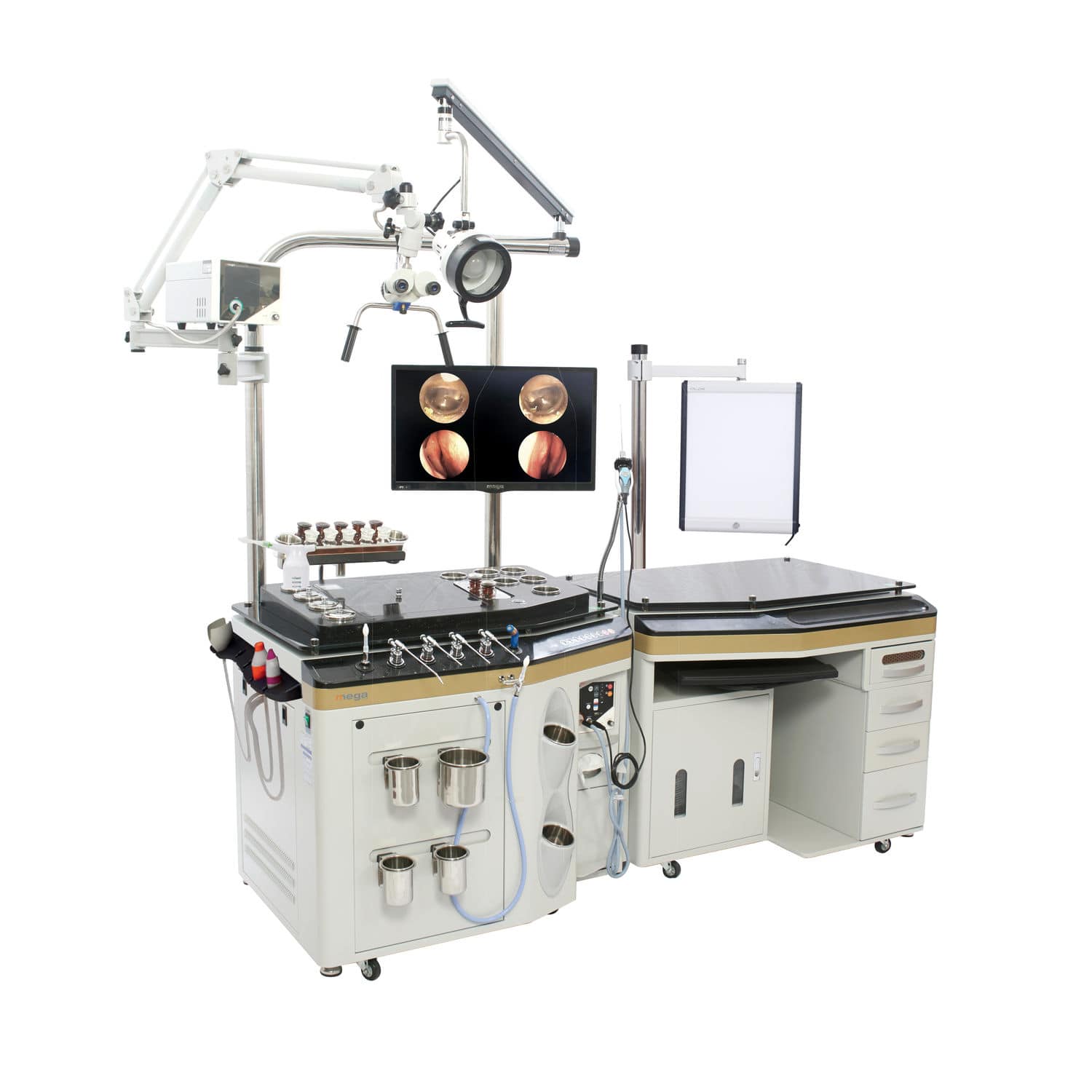 ENT workstation - NET-3000A - Mega Medical - for endoscope disinfection ...