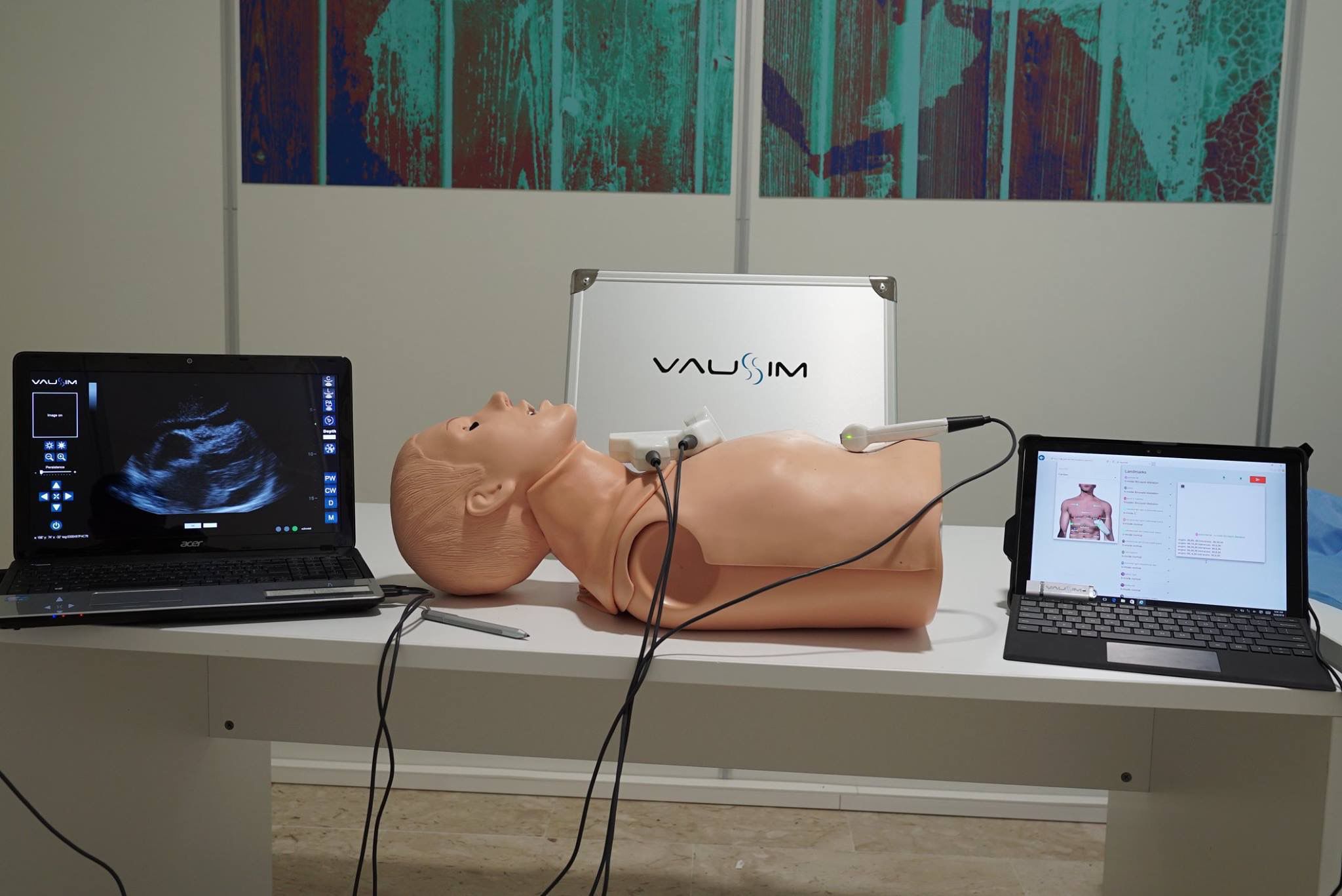 Training simulator - VausSim™ - Accurate S.r.l. - for ultrasound ...
