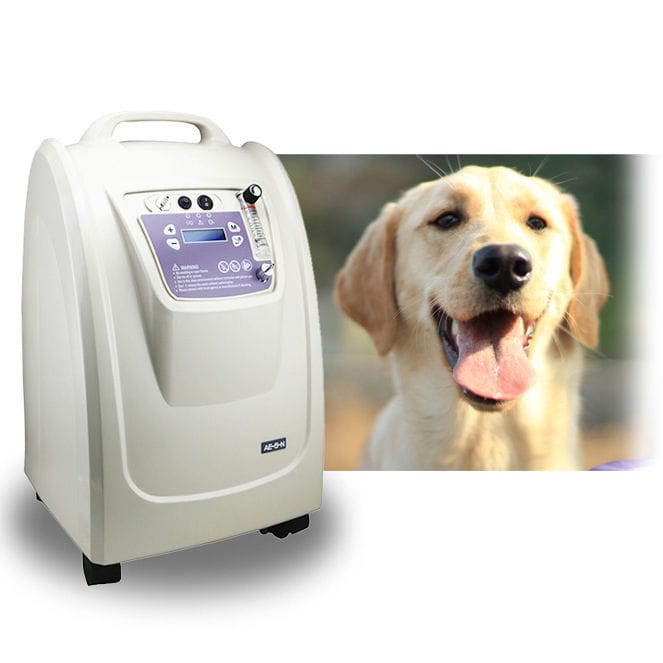 Veterinary oxygen concentrator - AE-5 - Shenyang Aerti Tech - on ...