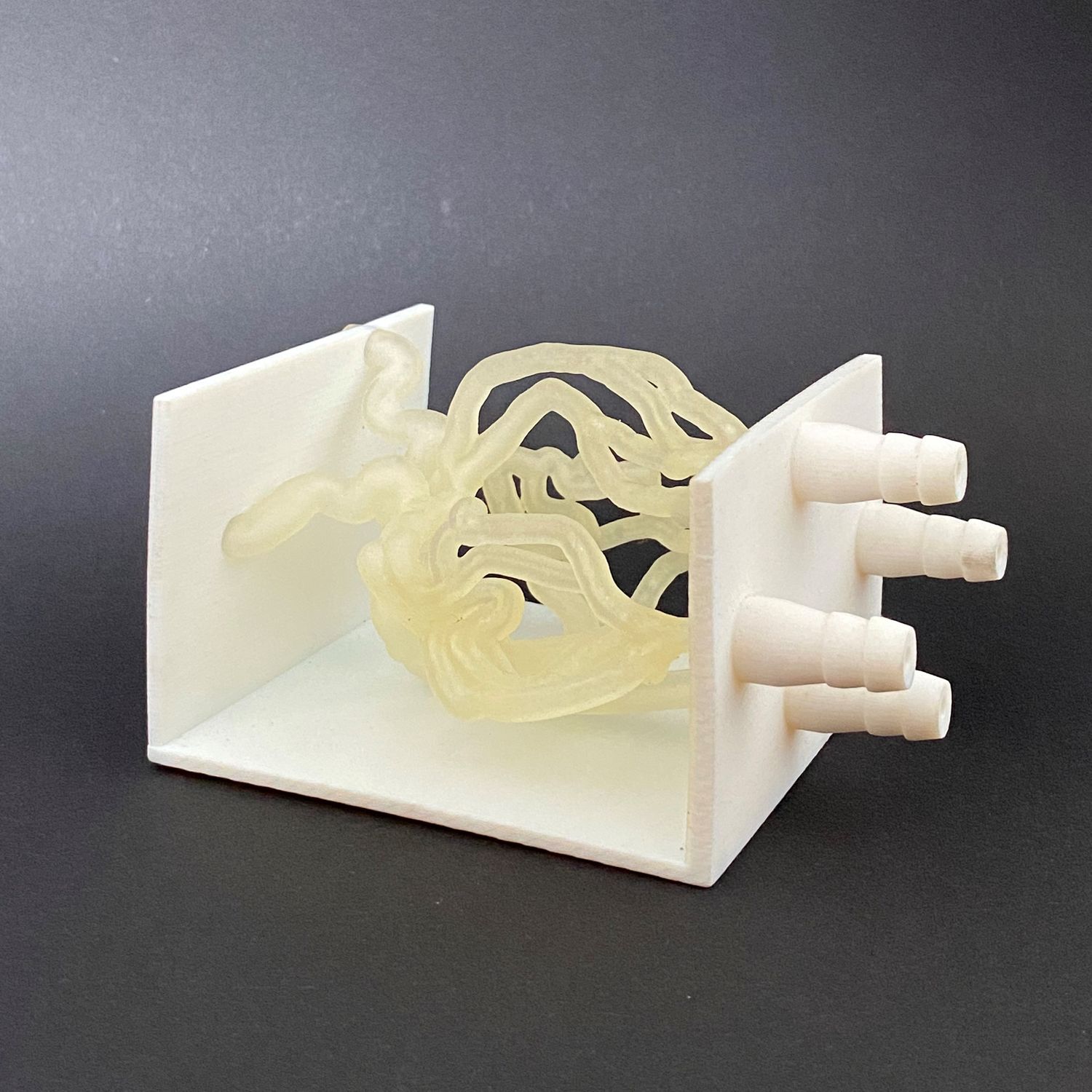 Blood vessels vascular model - Schiner3DRepro - vascular surgery / training