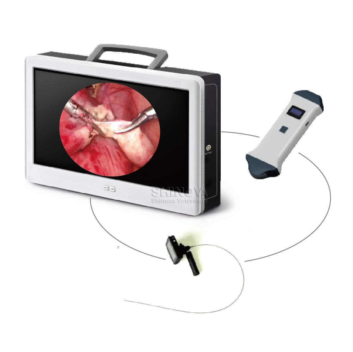 Video veterinary gastroscope - EndoBox-M3 - Shinova Medical Co., Ltd ...