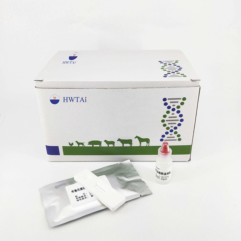 Rapid infectious disease test - HWTAi - for anemia / veterinary / for swine