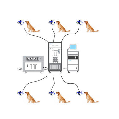 Animal research inhalation chamber - NOE - Shanghai TOW Intelligent ...