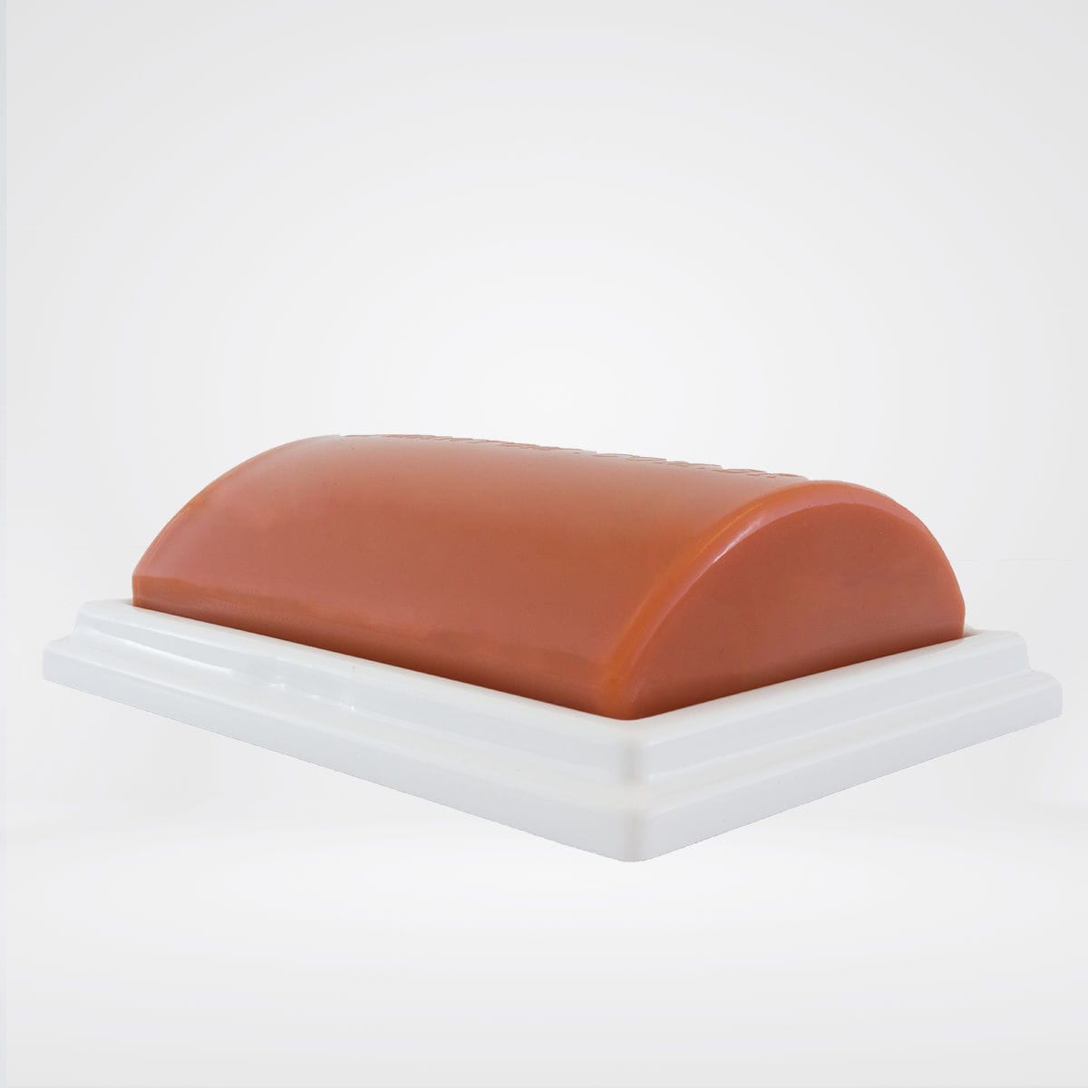 Training simulator - PBD050502 - Gphantom - for ultrasound imaging ...