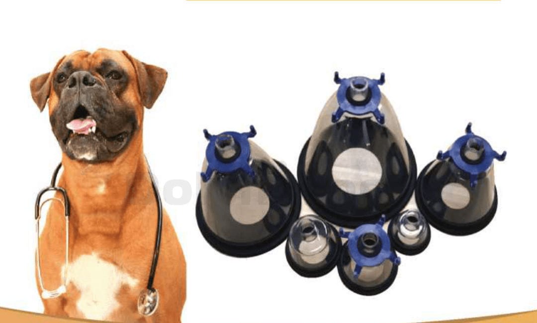 Anesthesia veterinary mask - Shandong Dolphinmed Technology - for ...